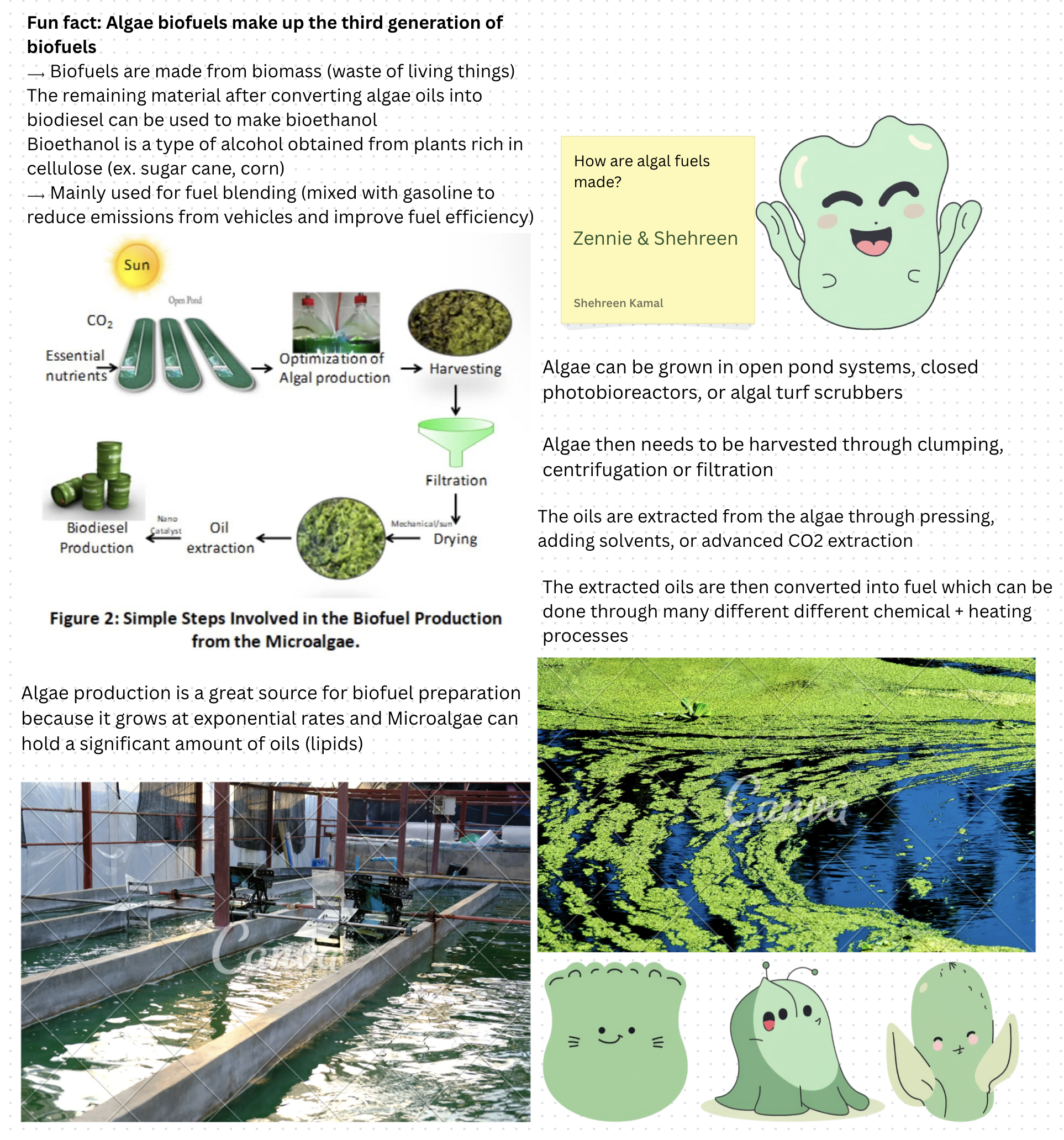 Biology 1200 fermentation applications | VCC Biology – Instructor Maria ...