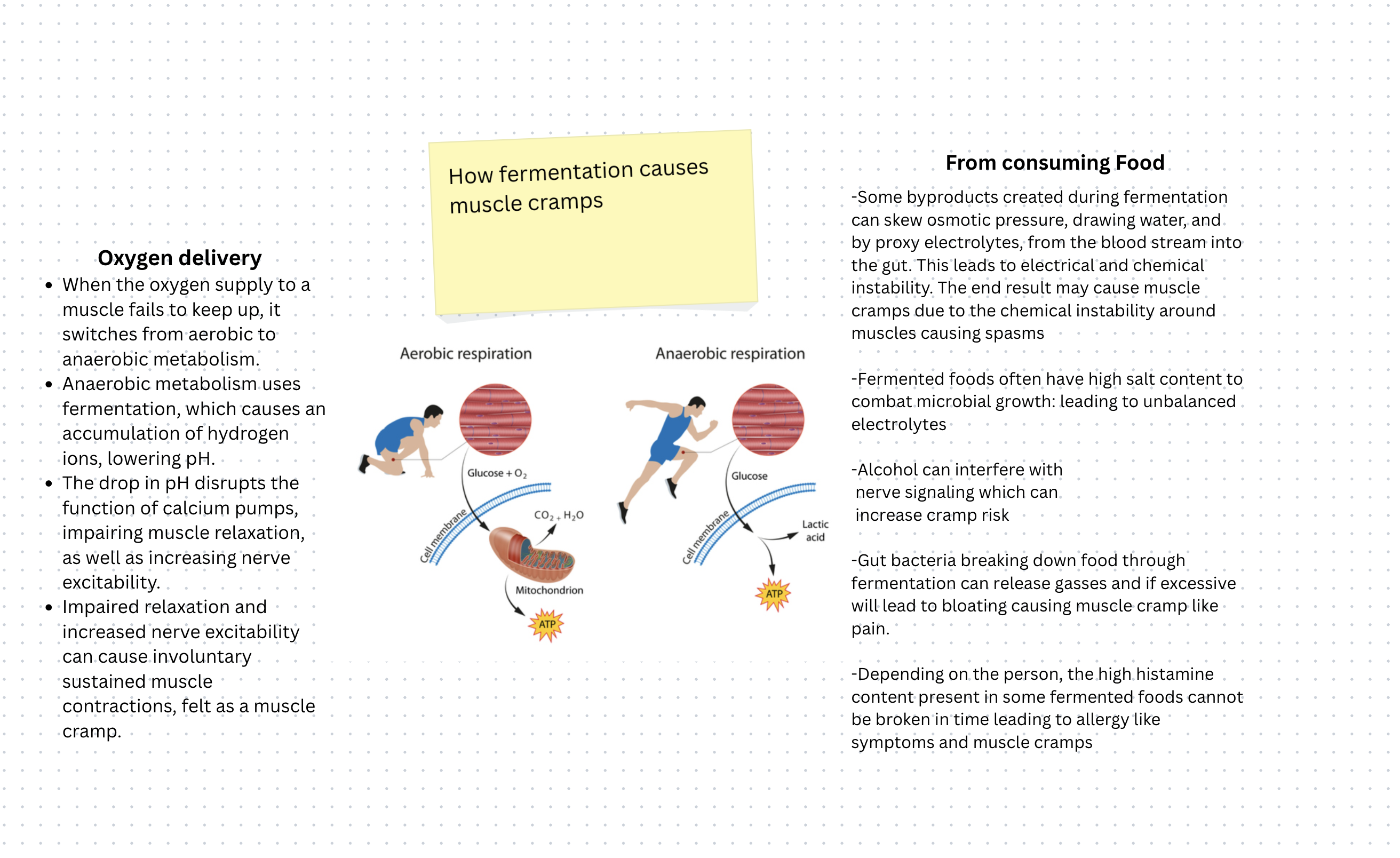 Biology 1200 fermentation applications | VCC Biology – Instructor Maria ...