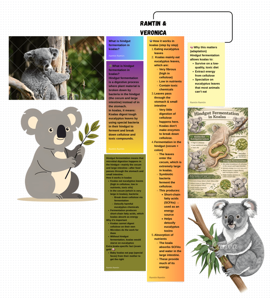 Biology 1200 fermentation applications | VCC Biology – Instructor Maria ...